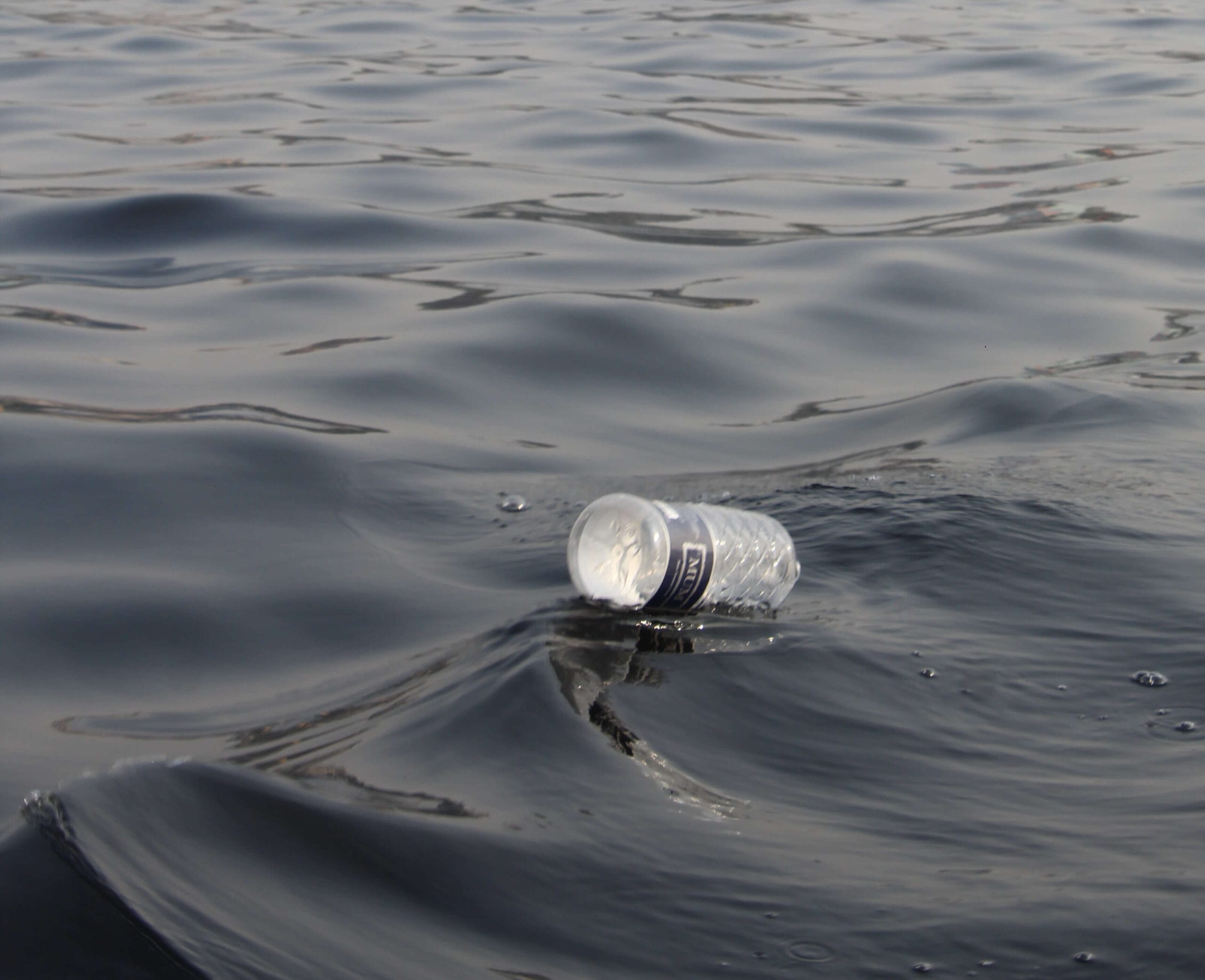 Gallery | Light for Destitute Foundation